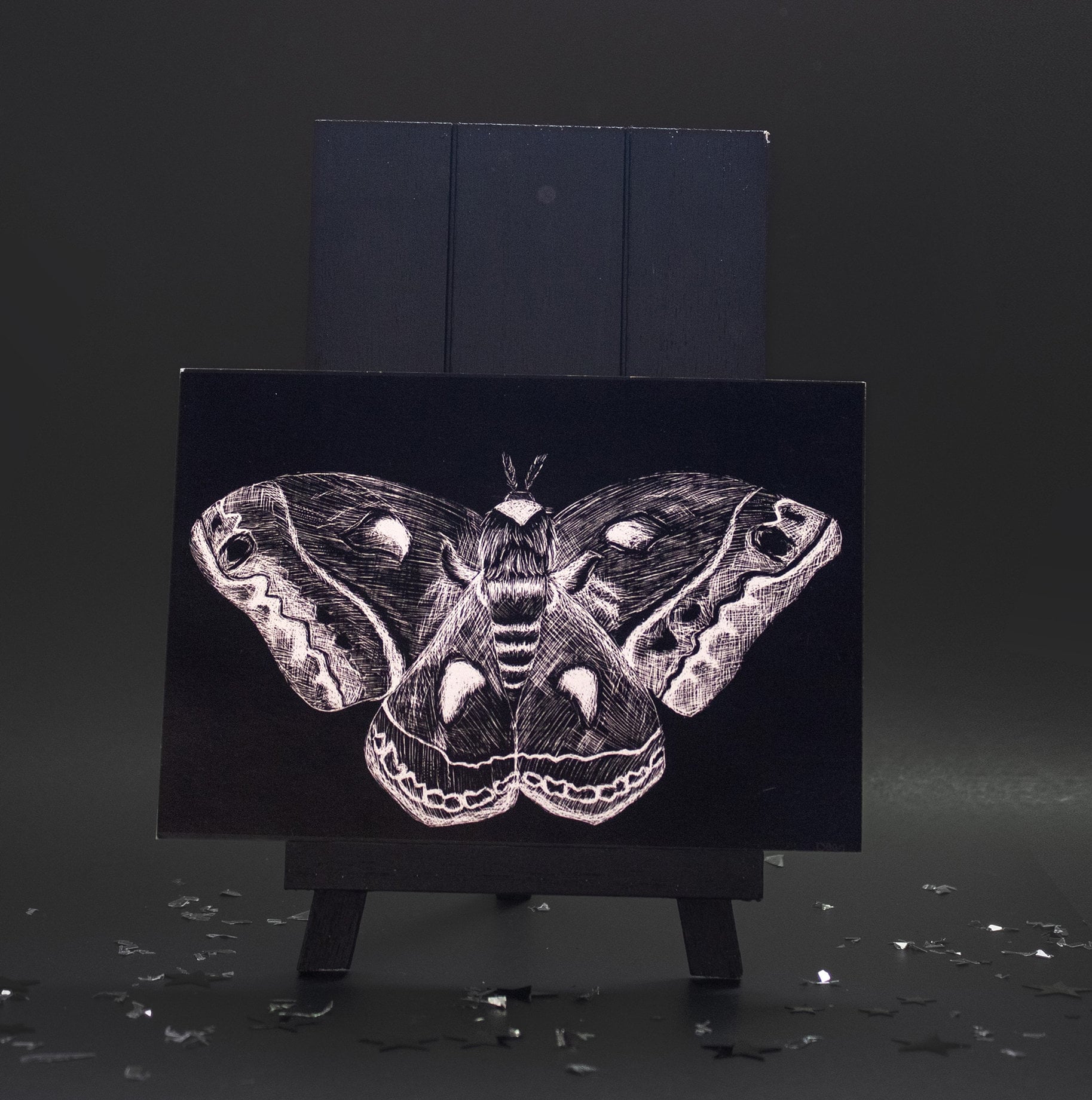 Black and White Cecropia Moth Scratchboard Illustration Print - Etsy