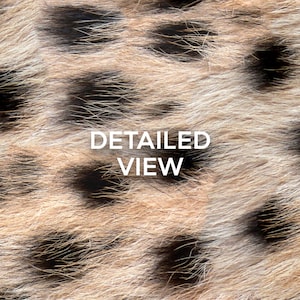 Seamless Animal Skin & Fur Digital Textures, Background Pattern ...