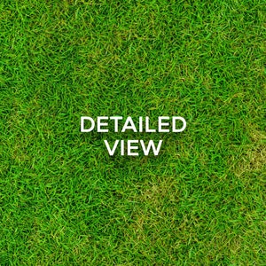 Seamless Grass Digital Textures, Background Pattern Collection, Instant ...