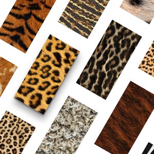 Seamless Animal Skin & Fur Digital Textures, Background Pattern ...