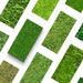 Seamless Grass Digital Textures, Background Pattern Collection, Instant ...