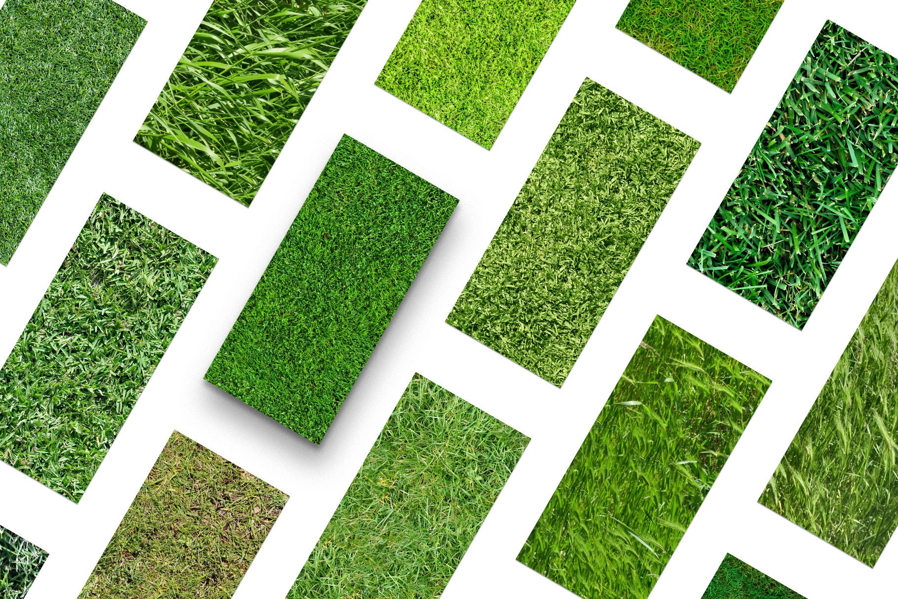 Seamless Grass Digital Textures, Background Pattern Collection, Instant ...