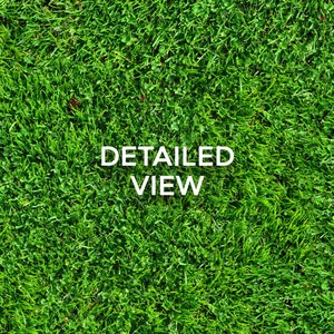 Seamless Grass Digital Textures, Background Pattern Collection, Instant ...