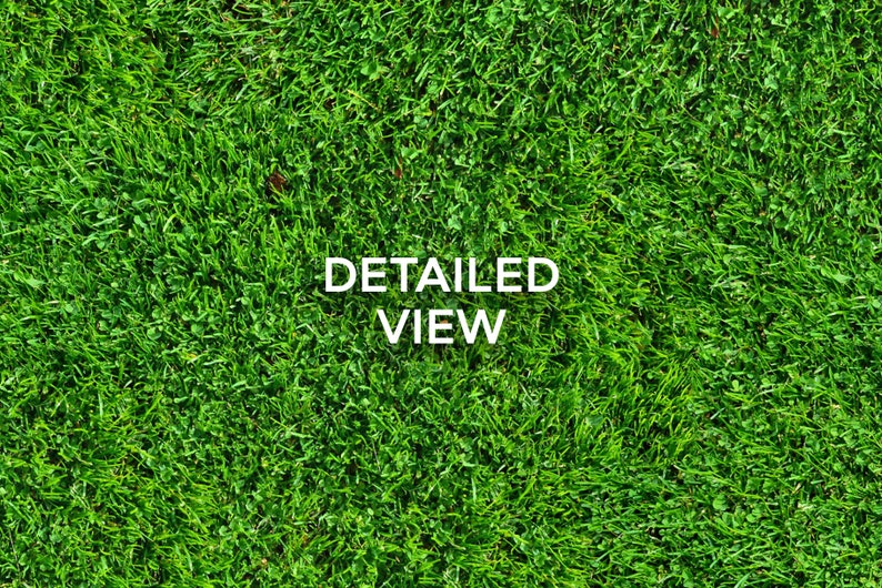 Seamless Grass Digital Textures, Background Pattern Collection, Instant ...
