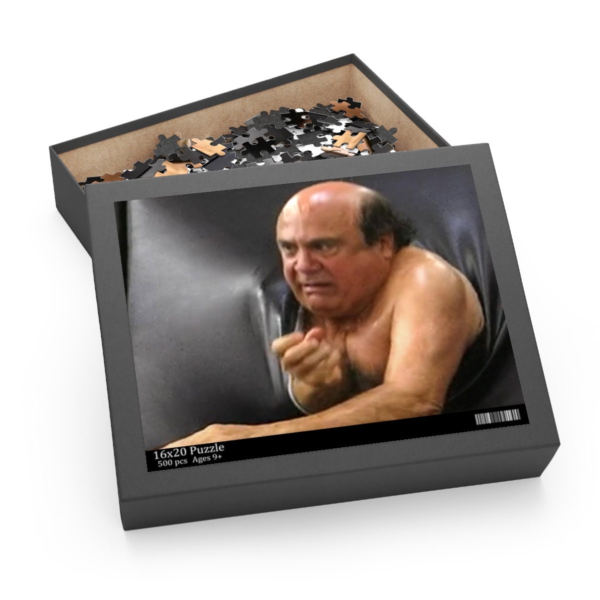 COUCH BIRTH Puzzle, Always Sunny in Philadelphia Inspired Puzzle, It's ...