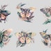 Watercolour Mystical Pastel Moth Clipart Bundle Wiccan Png - Etsy