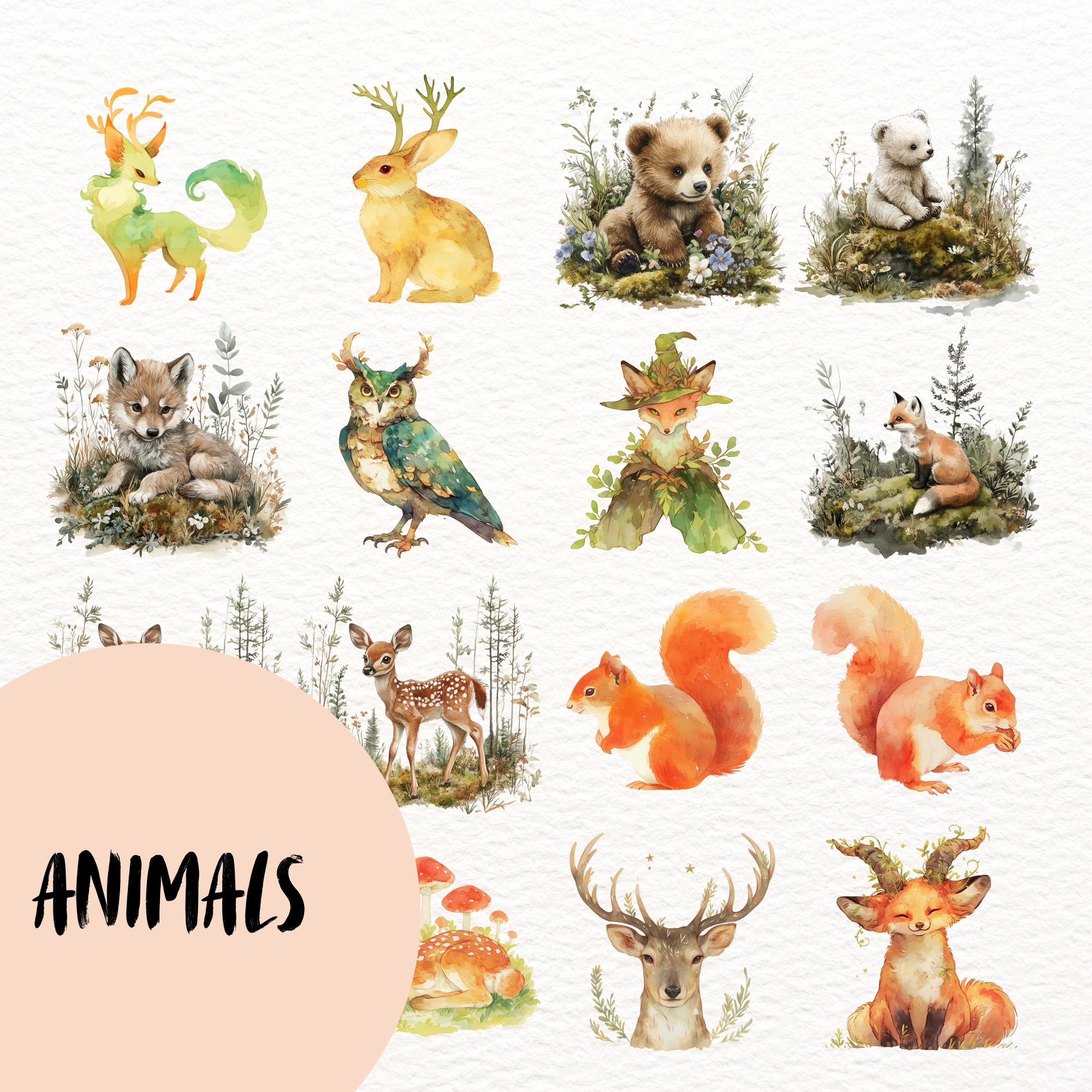 Watercolor Goblincore Clipart Mega Bundle, Cozy Nature Goblincore Png ...