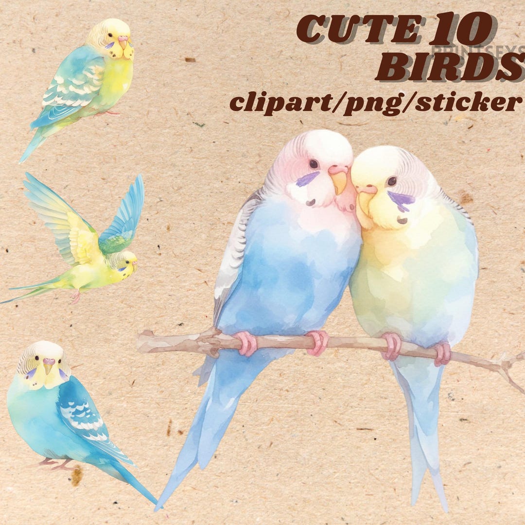Cute Watercolour Pet Bird Clipart Bundle, Cute Animals, Cute Bird ...