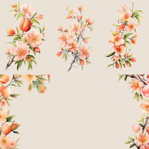 Elegant Peach Flower Clipart Bundle, Digital Stickers, Invitation Png ...