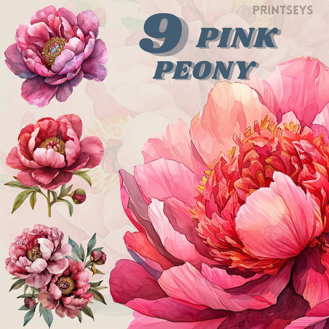 Watercolour Dark Pink Peony Digital Sticker, Peony Clipart, Romantic ...