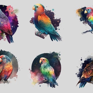 Celestial Parrot Clipart Bundle, Bird Png, Magic Clip Art, Mystical ...