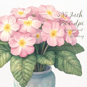 Primrose Digital Stickers, Paper Craft Floral Clipart Spring Goodnotes ...
