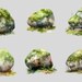Watercolour Mossy Rock Clipart Bundle, Rock Clipart, Woods, Nature ...