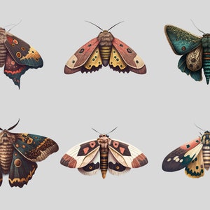 Watercolour Mystical Moth Clipart Bundle, Wiccan Png, Moth Png ...