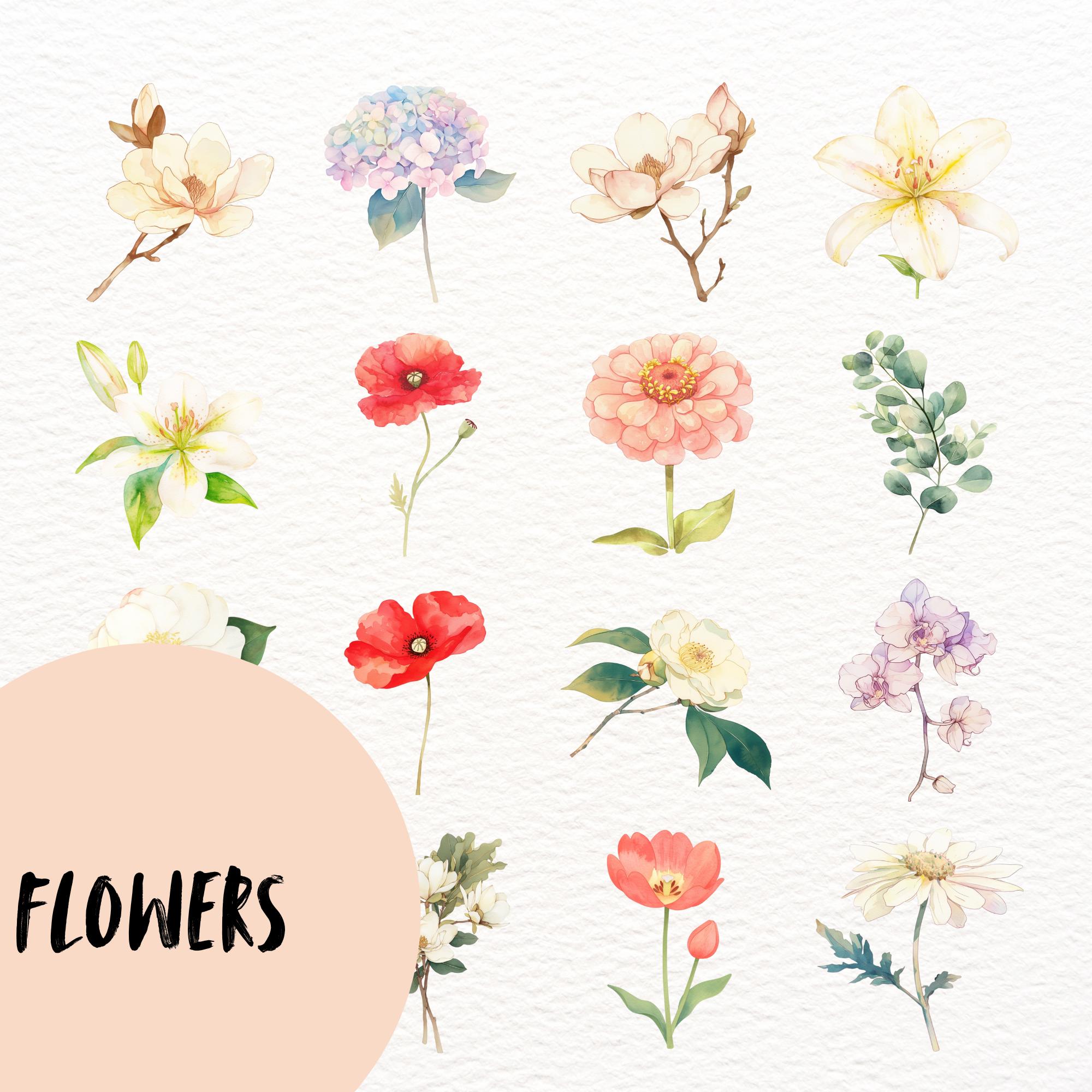 Watercolor Boho Floral Clipart Mega Bundle, Delicate Boho Flower Png ...