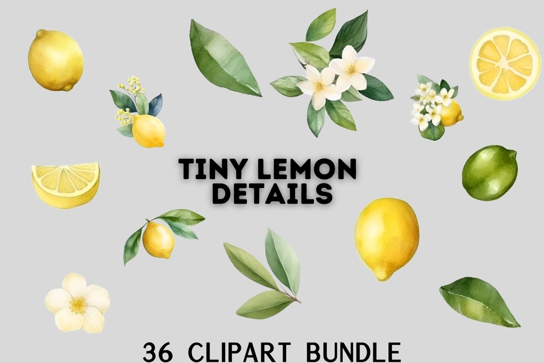 Watercolour Tiny Lemon Clipart Bundle, Lemon Flowers, Lemon Leaves ...