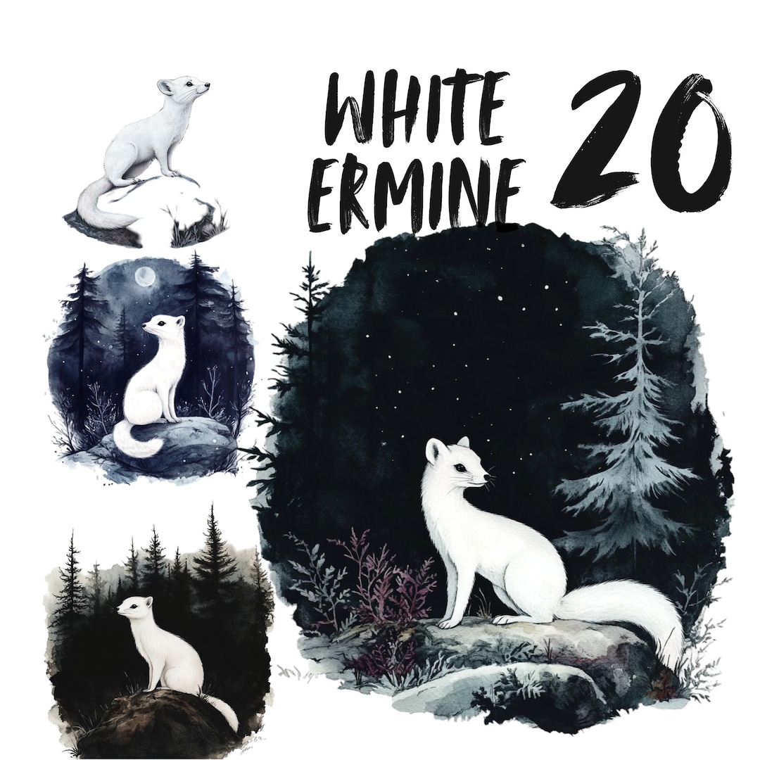 White Forest Ermine Clipart Set, Animal PNG Stickers, Fantasy Png Set ...
