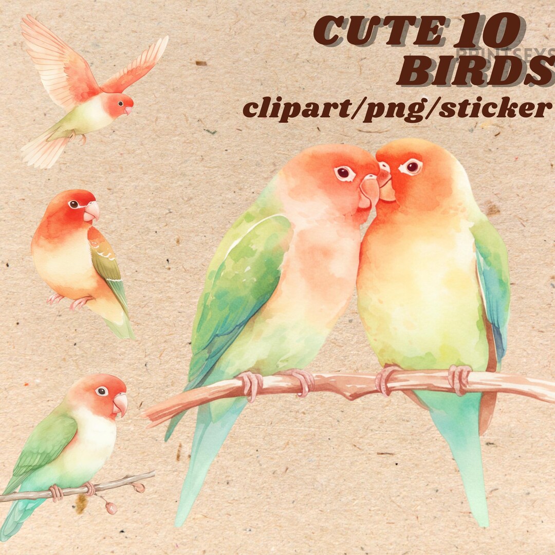 Cute Watercolour Pet Bird Clipart Bundle, Cute Animals, Cute Bird ...