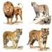 Best BIG Cat Clipart Bundle, Tiger, Lion, Lynx, Cheetah, Jaguar Png ...