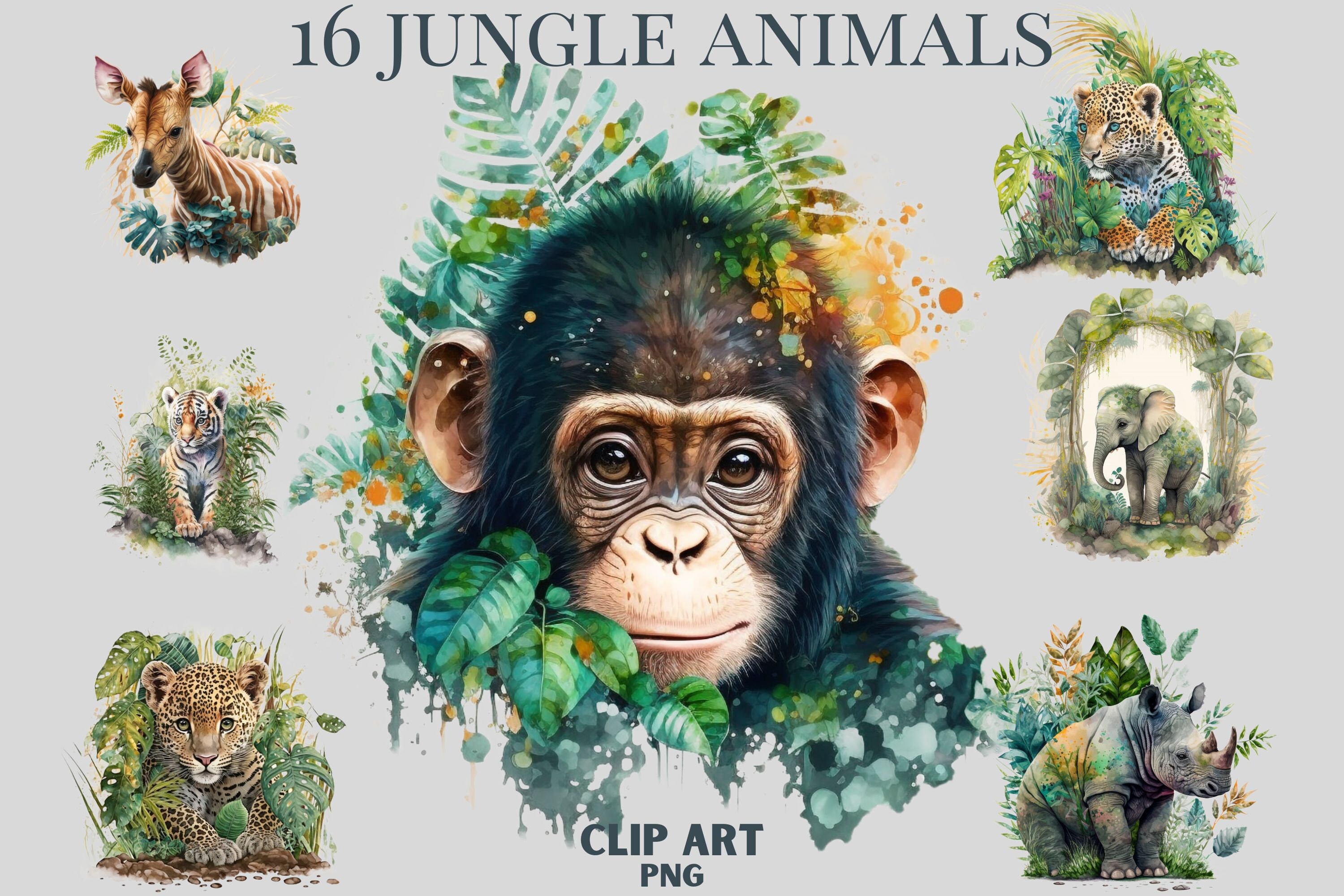 Cute Watercolour Jungle Animal CLIPART Tigers Monkeys - Etsy