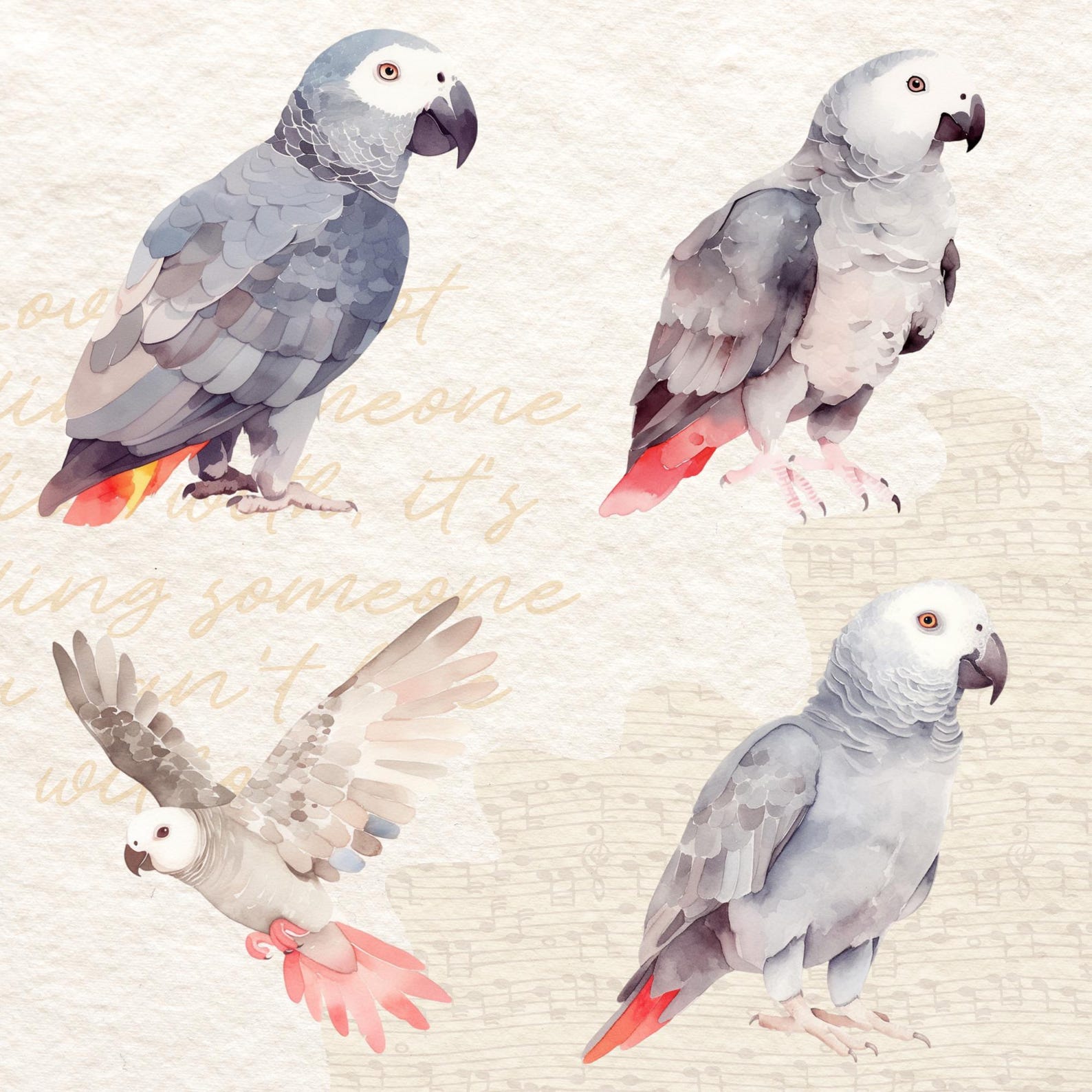 Cute Watercolour Pet Bird Clipart Bundle, Cute Animals, Cute Bird ...