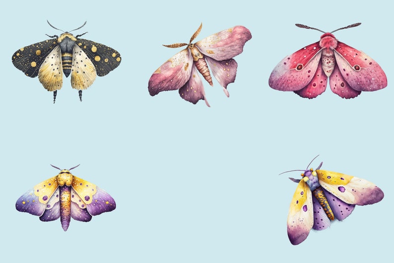 Watercolour Mystical Moth Clipart Wiccan Png Moth Png - Etsy