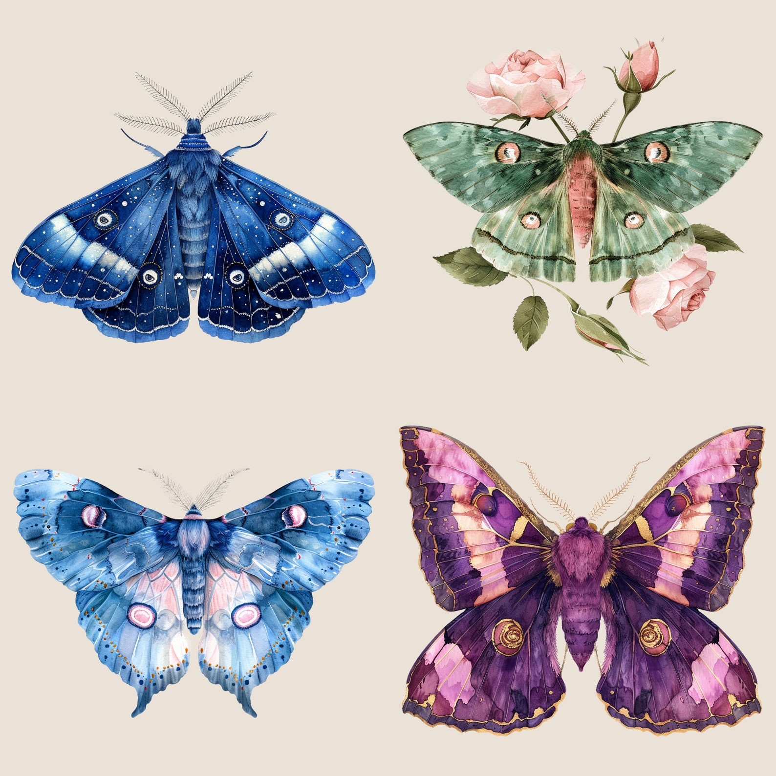 Watercolour Whimsical Royal Moth Clipart Bundle, Wiccan Png, Moth Png ...