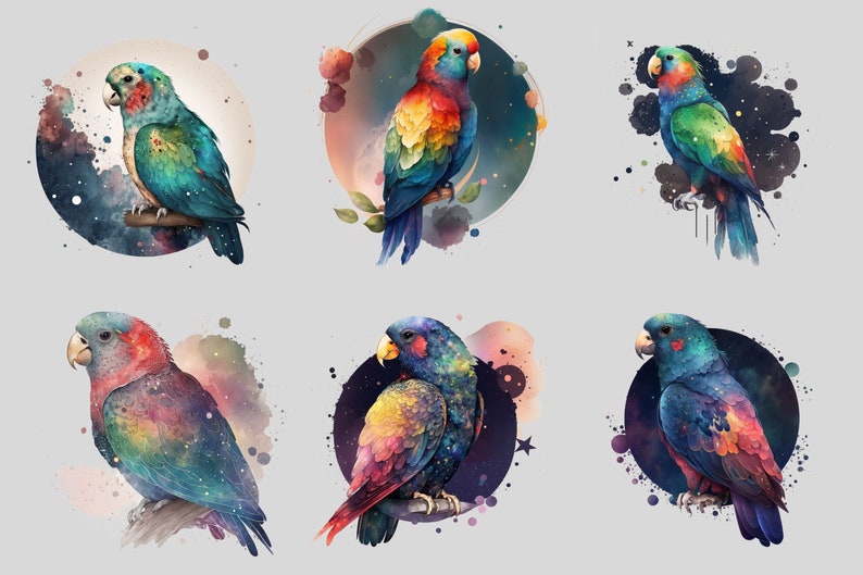 Celestial Parrot Clipart Bundle Bird Png Magic Clip Art - Etsy