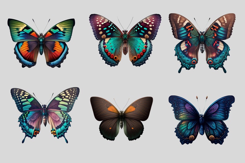 Best Colorful Butterfly Clipart Bundle, Butterfly Png, Exotic ...