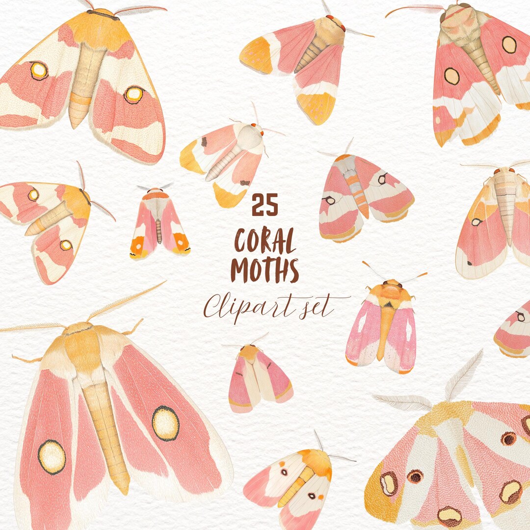 Watercolour Vintage Coral Moth Clipart Bundle, Wiccan, Moth Png ...