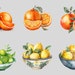 Watercolour Citrus Fruit Clipart Bundle, Orange, Lemon, Lime Clipart ...
