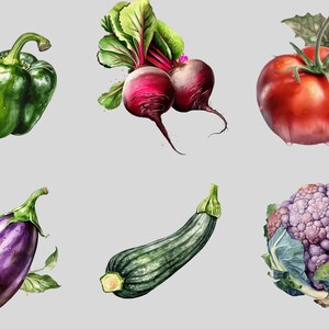 Watercolour Vegetable Clipart Bundle, Veggie Clipart, Pepper, Potatoes ...