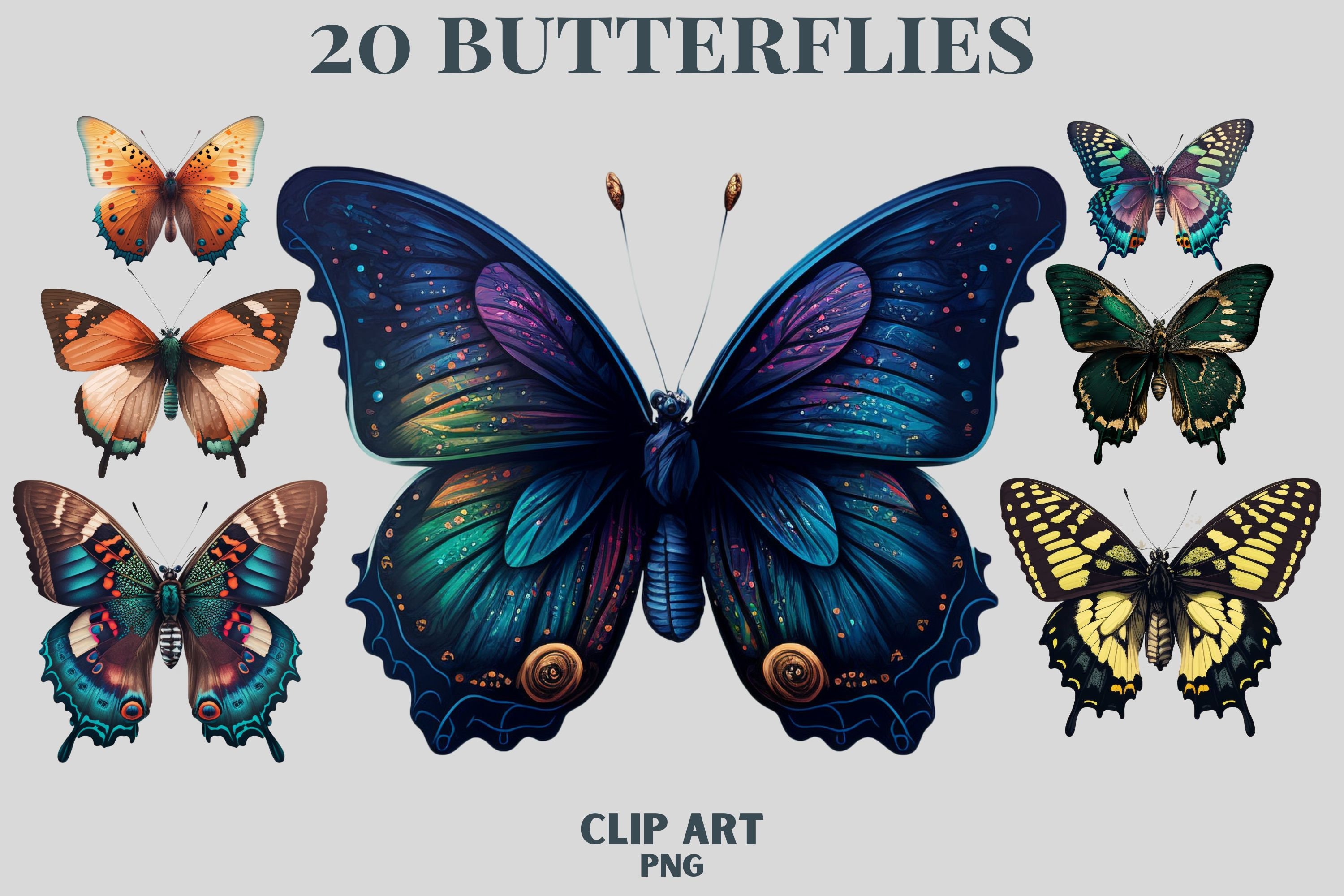 Best Colorful Butterfly Clipart Bundle, Butterfly Png, Exotic ...