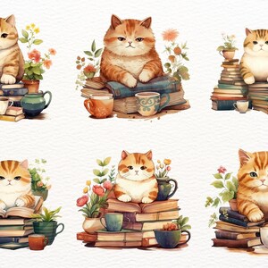Watercolour Kawaii Cat Librarian Clipart Bundle, Cute Cats Png, Book ...