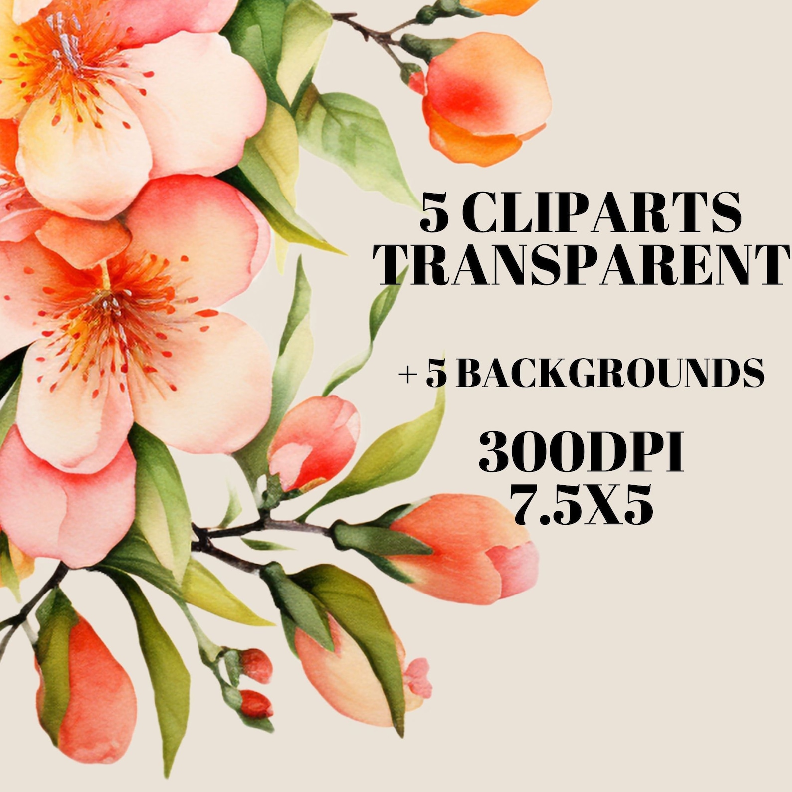 Elegant Peach Flower Clipart Bundle, Digital Stickers, Invitation Png ...