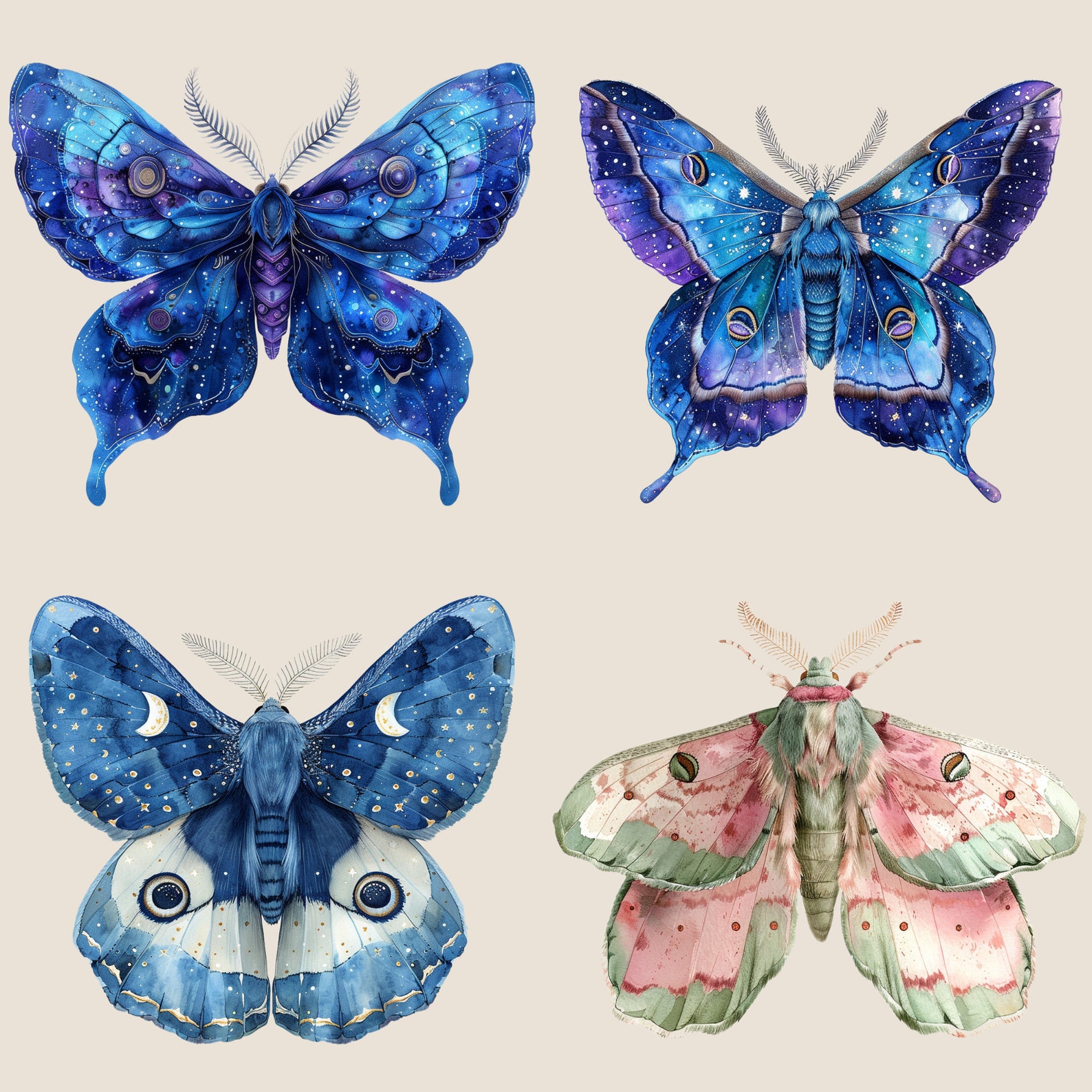 Watercolour Whimsical Celestial Moth Clipart Bundle, Wiccan Png, Moth ...
