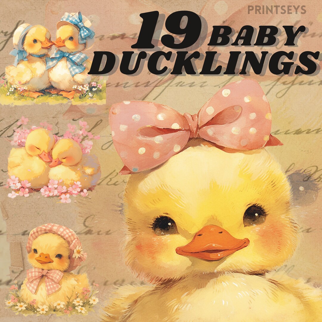 Cute Vintage Baby Duckling Digital Sticker, Cute Spring Duckling Png ...