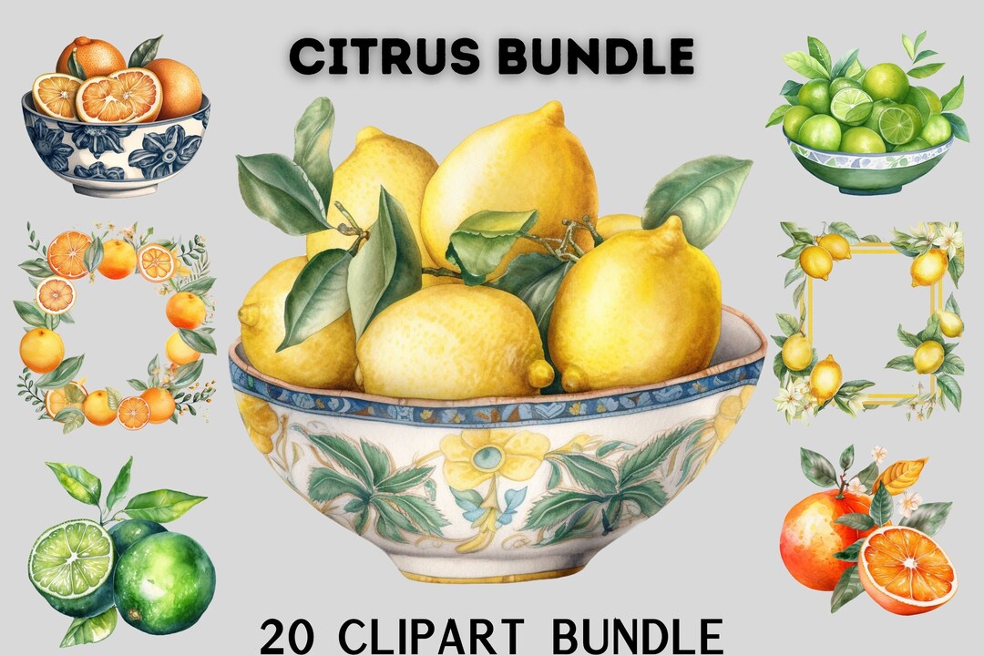 Watercolour Citrus Fruit Clipart Bundle, Orange, Lemon, Lime Clipart ...