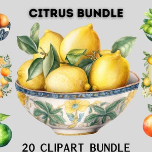 Watercolour Citrus Fruit Clipart Bundle, Orange, Lemon, Lime Clipart ...