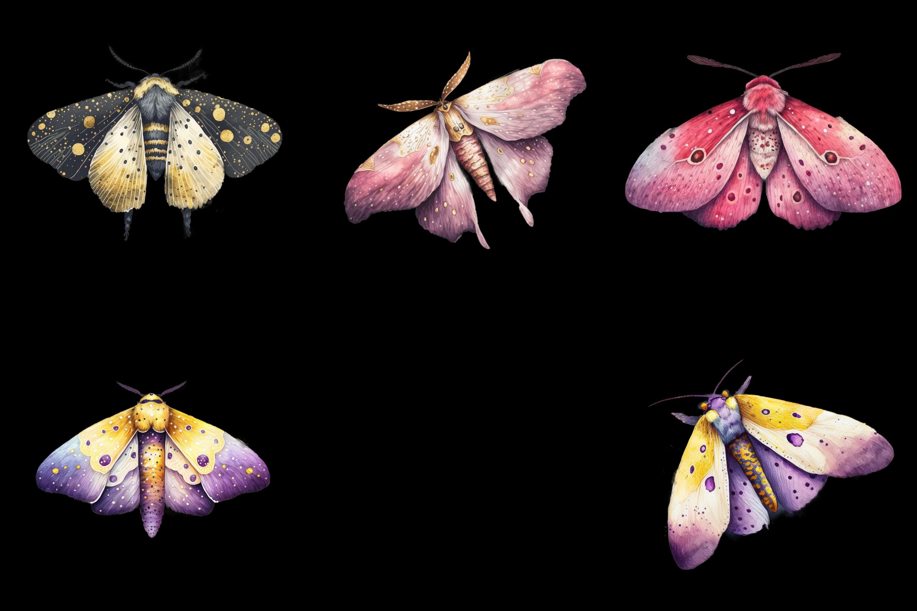 Watercolour Mystical Moth Clipart Wiccan Png Moth Png - Etsy