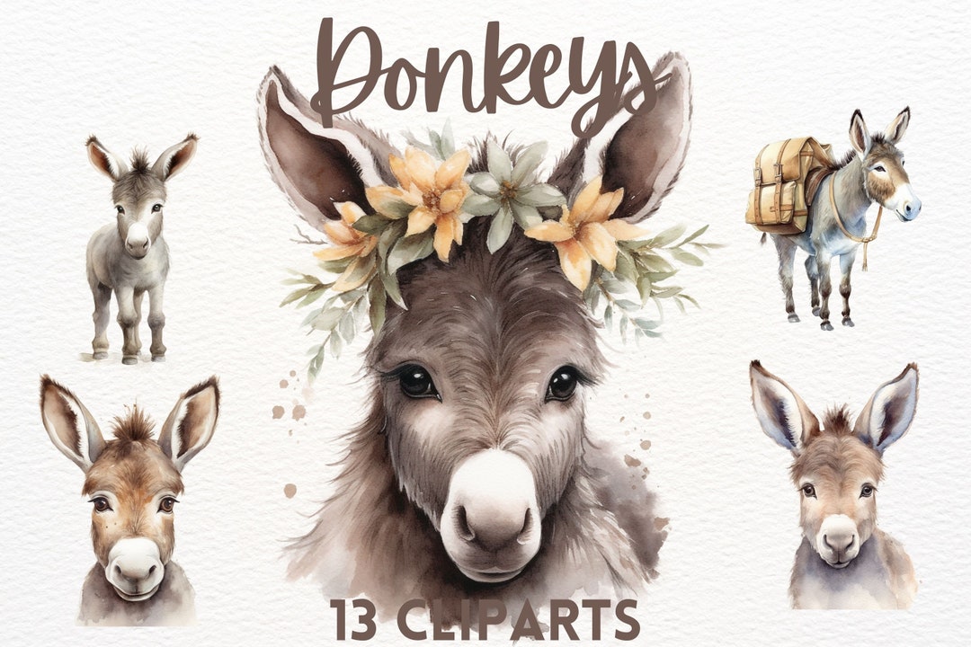 Cute Watercolour Donkey Clipart Bundle, Cute Donkeys, Animal Clipart, Cute Animal Clipart, Baby ...