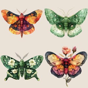 Watercolour Whimsical Royal Moth Clipart Bundle, Wiccan Png, Moth Png ...