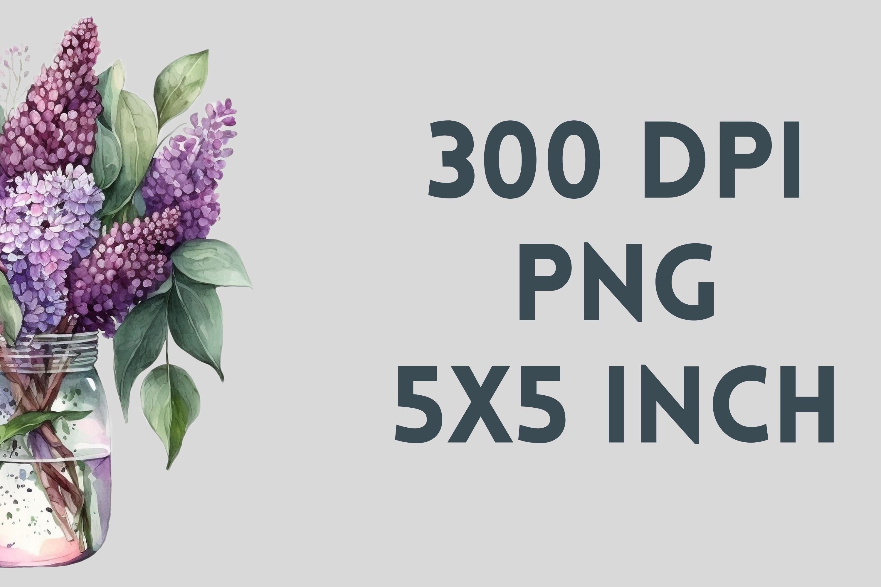 Watercolour Lilac Clipart Bundle Purple and Pink Lilacs - Etsy