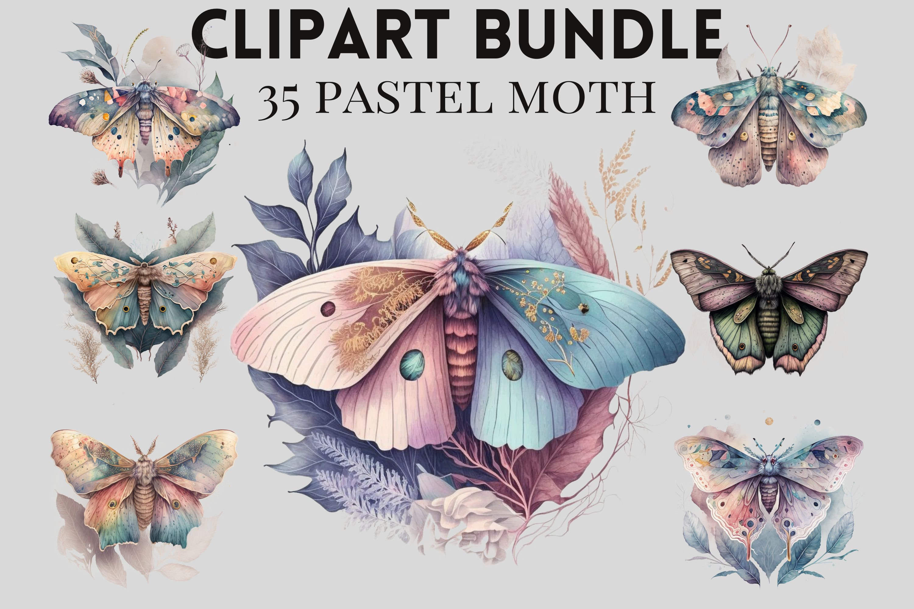 Watercolour Mystical Pastel Moth Clipart Bundle Wiccan Png - Etsy UK