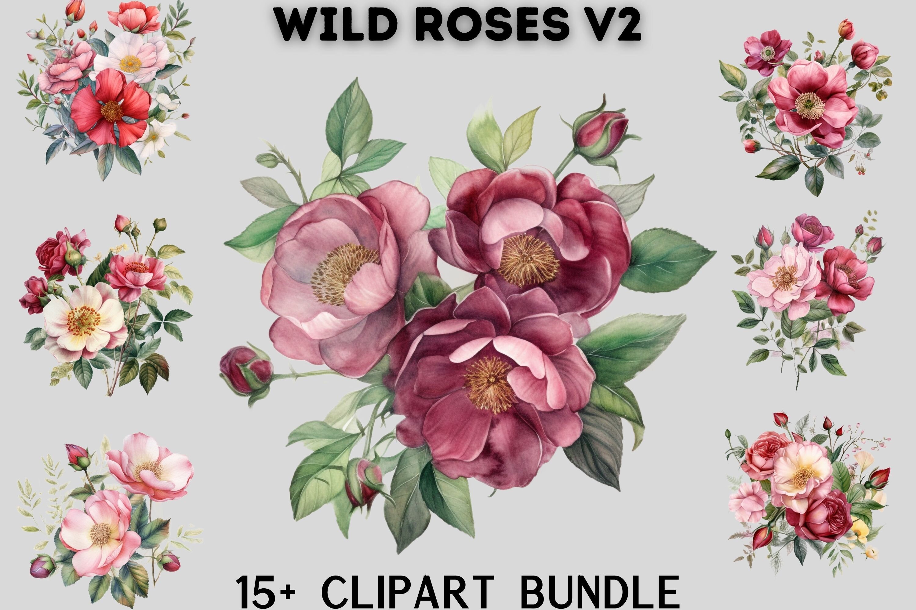 Watercolour Wild Rose Clipart Bundle Pink Red Roses Floral - Etsy