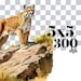 Best BIG Cat Clipart Bundle, Tiger, Lion, Lynx, Cheetah, Jaguar Png ...