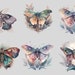 Watercolour Mystical Pastel Moth Clipart Bundle Wiccan Png - Etsy