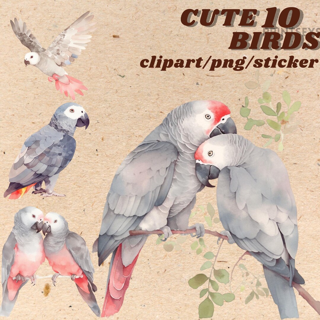 Cute Watercolour Pet Bird Clipart Bundle, Cute Animals, Cute Bird ...