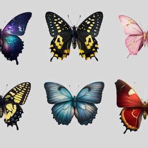 Best Colorful Butterfly Clipart Bundle, Butterfly Png, Exotic ...