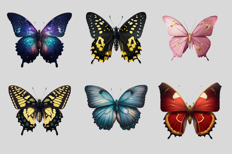 Best Colorful Butterfly Clipart Bundle Butterfly Png Exotic - Etsy